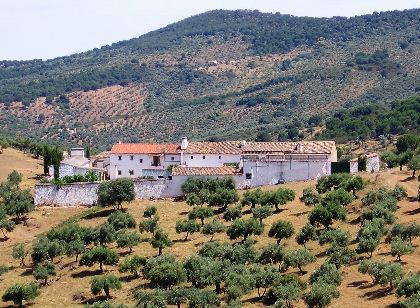 Fincas Rústicas en venta en España. Preguntas frecuentes. | Lançois Doval
